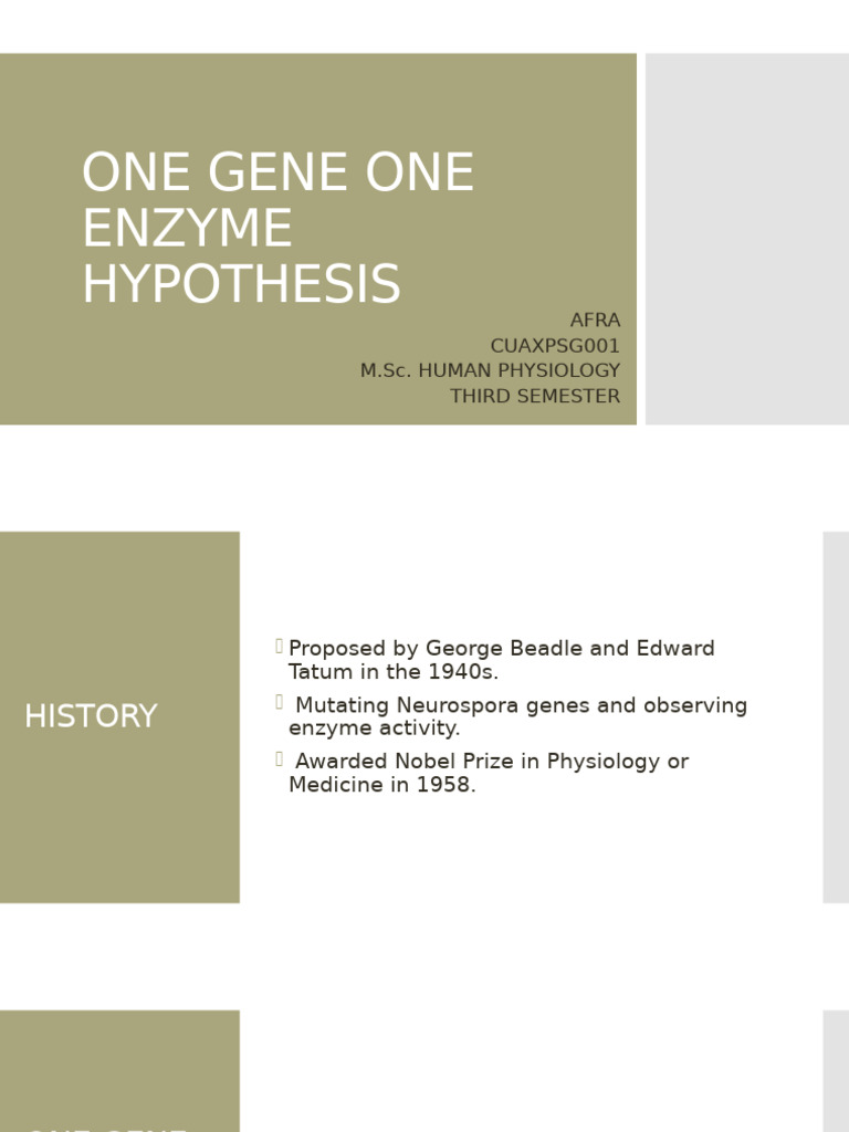 One Gene One Enzyme Hypothesis Explained | PDF | Genetics | Biochemistry