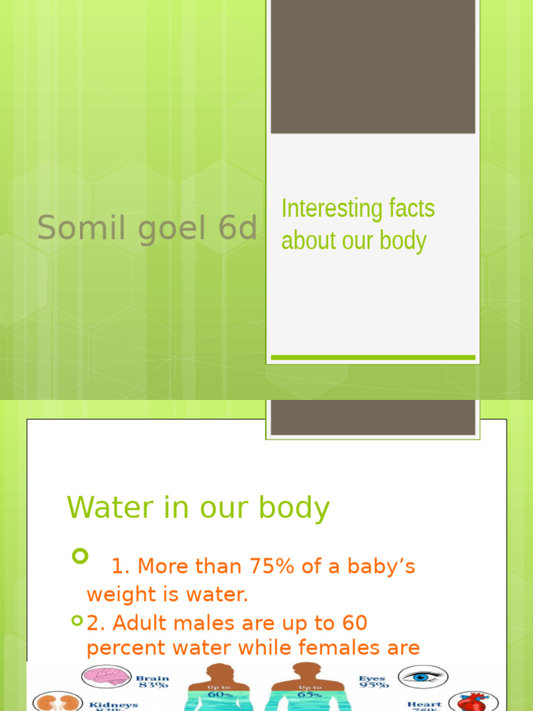 Interesting Facts About Our Body | PDF | Vertebral Column | Saliva