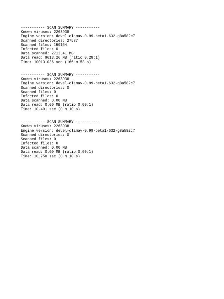 Scan Report Pdf