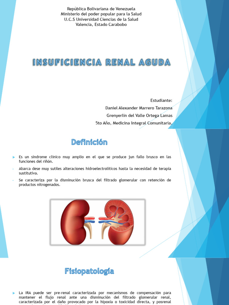 Insuficiencia Renal Aguda: Fisiopatología y Complicaciones | PDF
