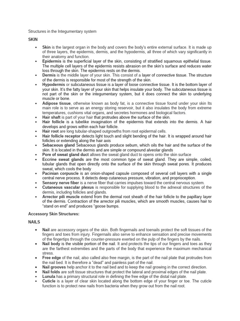 Structures in The Integumentary System | PDF | Nail (Anatomy) | Dermatitis