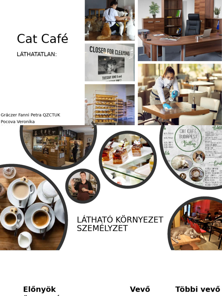 Cat Cafe | PDF