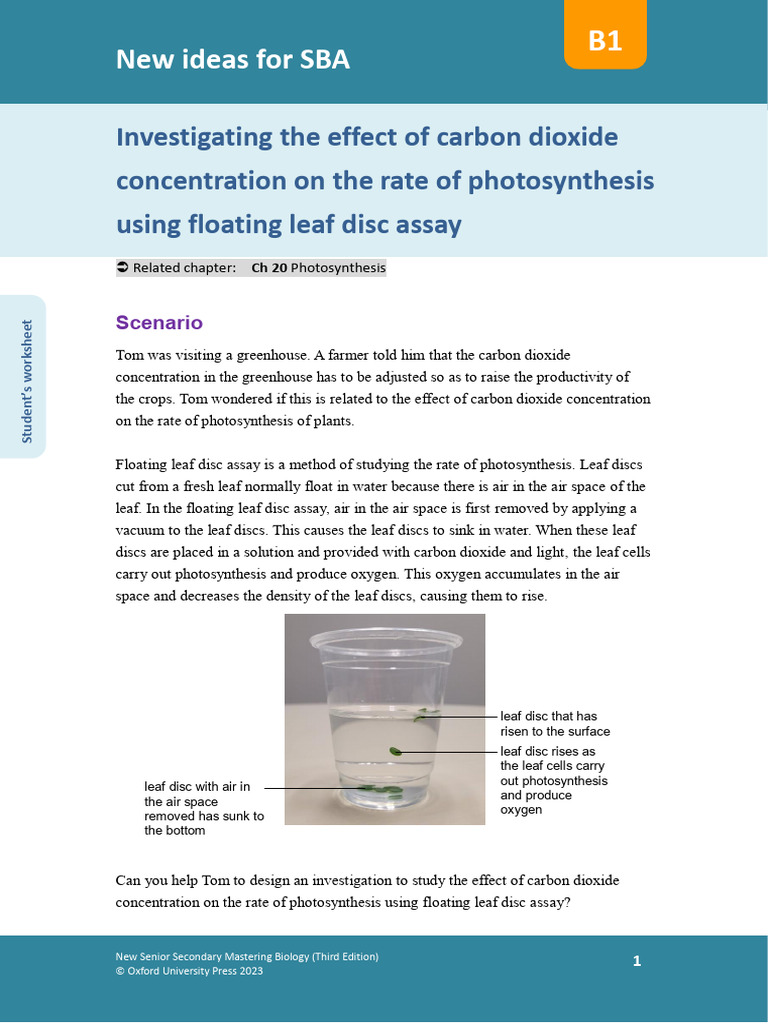 Floating Leaf Disk Assay for Photosynthesis | PDF | Photosynthesis | Leaf