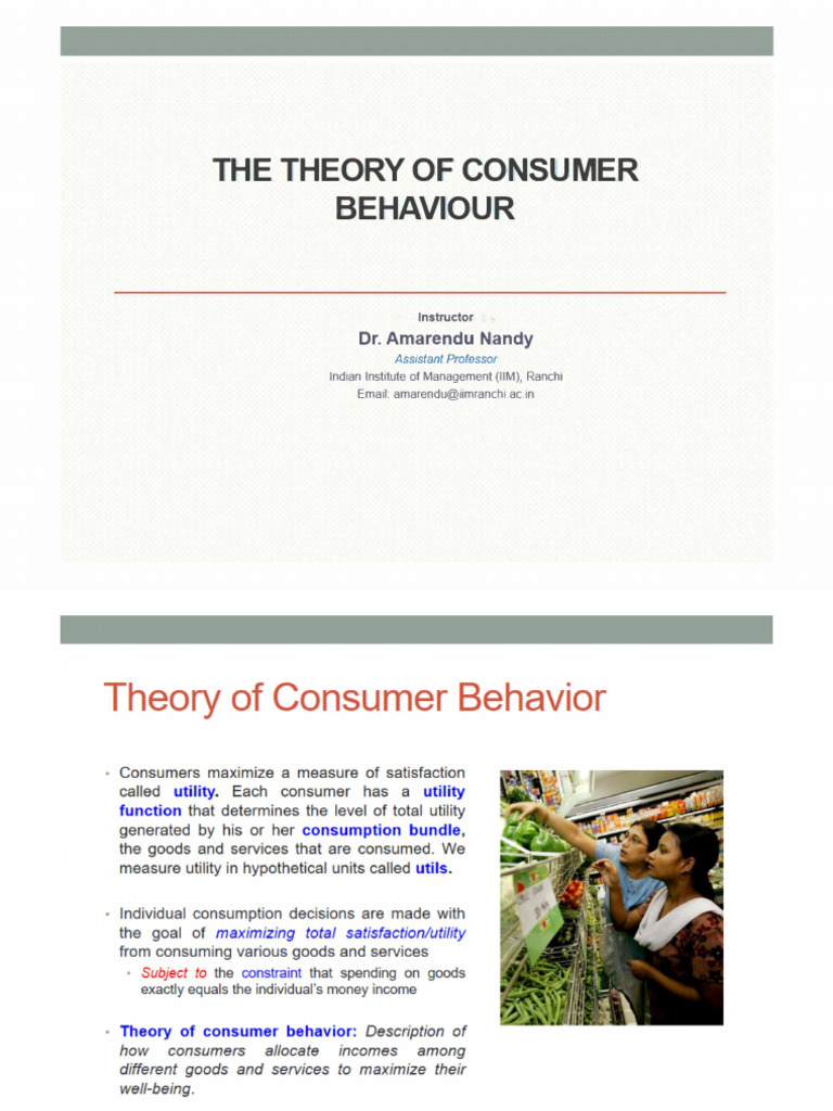 Lecture - Theory of Consumer Behaviour | PDF