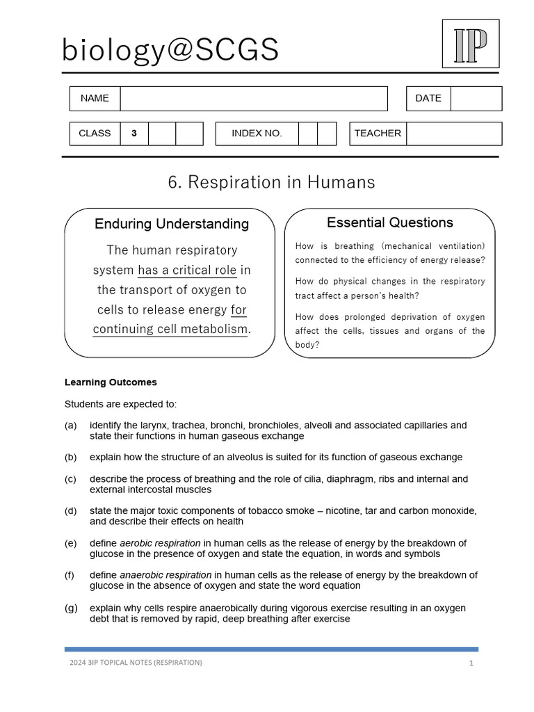 Human Respiration: Key Concepts & Effects | PDF | Respiratory System | Lung