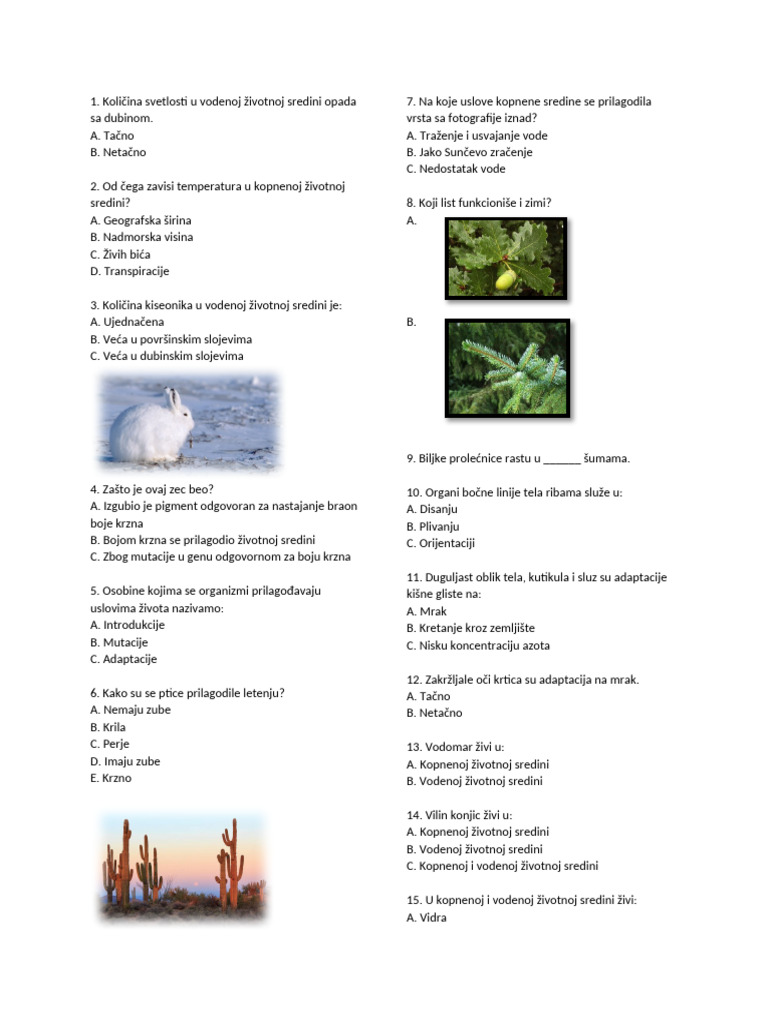 Jedinstvo Gradje I Funkcije Kao Osnova Zivota Sistematizacija | PDF