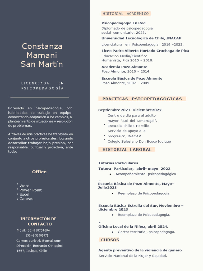 C. Vitae Constanza | PDF