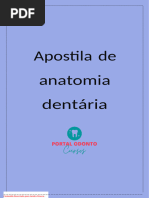 Anatomia dos Caninos Dentais | PDF | Dente | Rosto