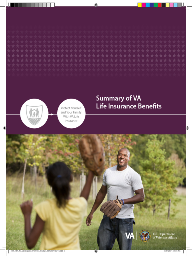 VA Life Insurance Options Guide | PDF | United States Department Of ...