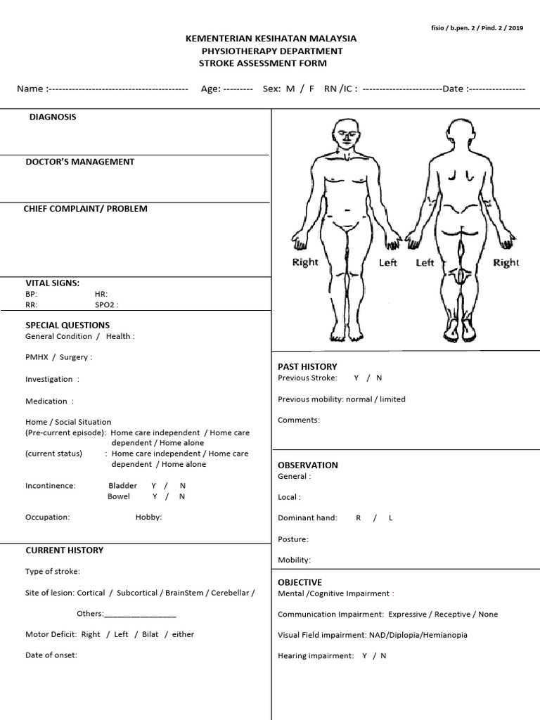 stroke form | PDF | Anatomical Terms Of Motion | Musculoskeletal System