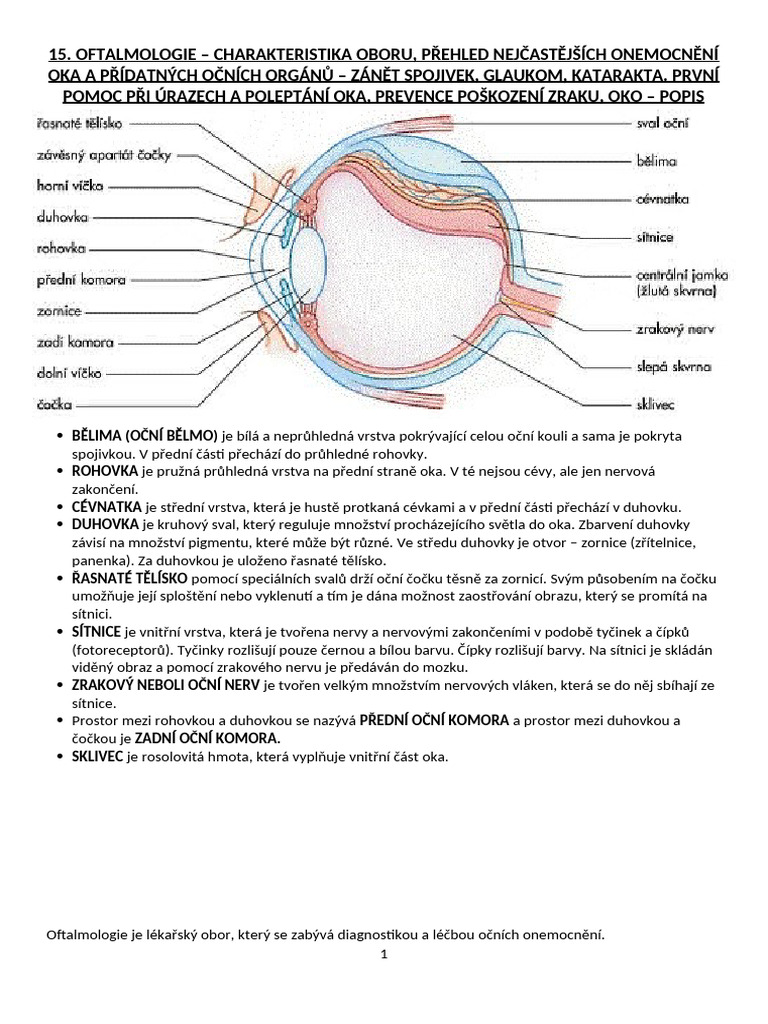 Bělima (Oční Bělmo) Rohovka Cévnatka Duhovka | PDF