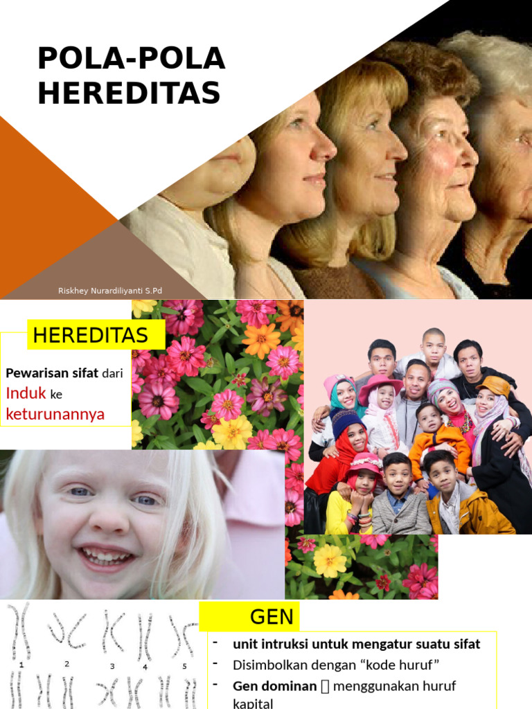 Pola-Pola Hereditas Kuis | PDF | Seni & Disiplin Bahasa | Sains & Matematika