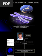 Acgs Best Practice Guidelines For Constitutional Karyotype Analysis and ...
