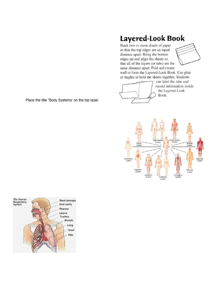 Body Systems Foldable | PDF