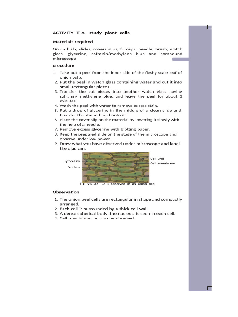 Class IX Bio Practical | PDF | Tissue (Biology) | Anatomy