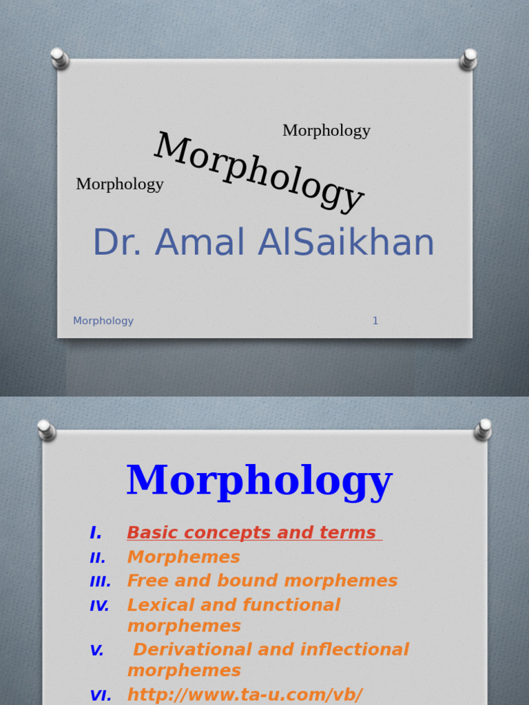 Morphology 111 | PDF | Morphology (Linguistics) | Word