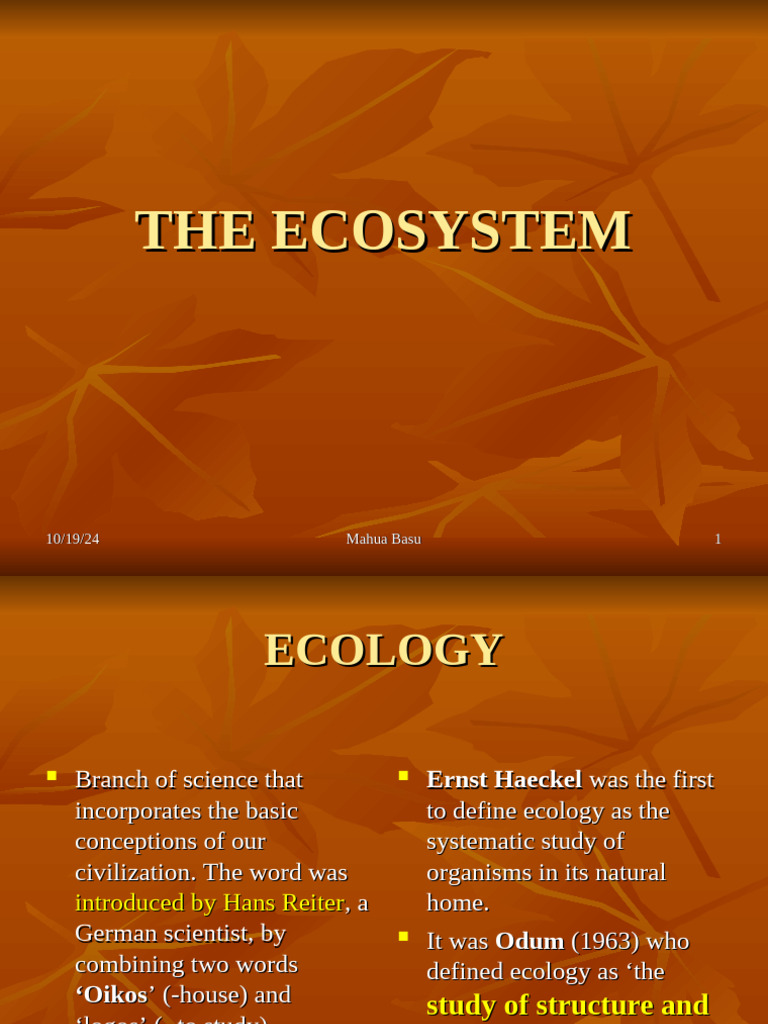 Introduction to Ecosystem Ecology | PDF | Food Web | Ecosystem