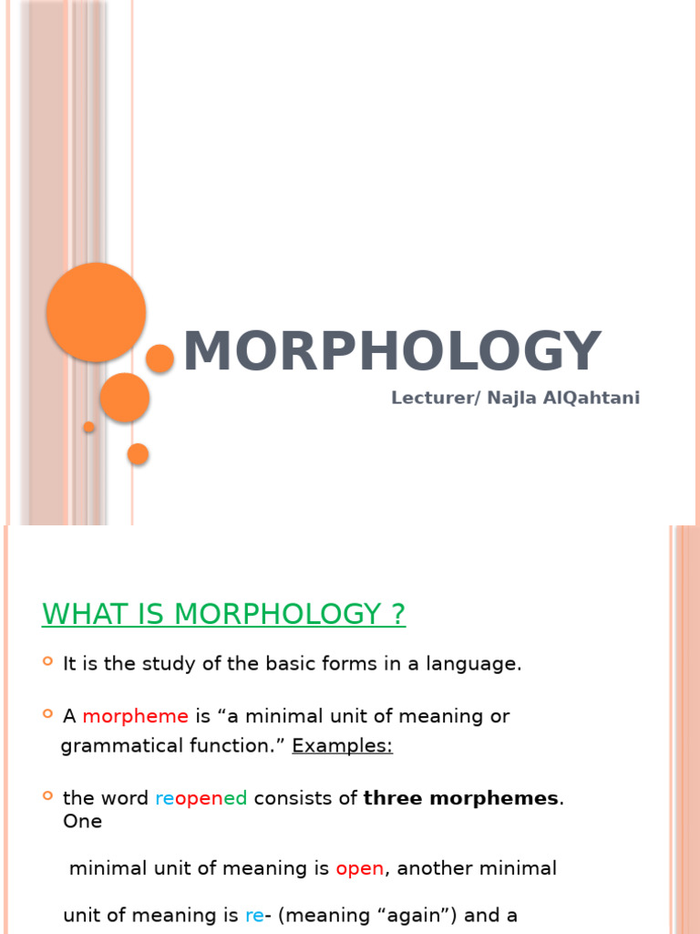 Morphology | PDF | Word | Morphology (Linguistics)