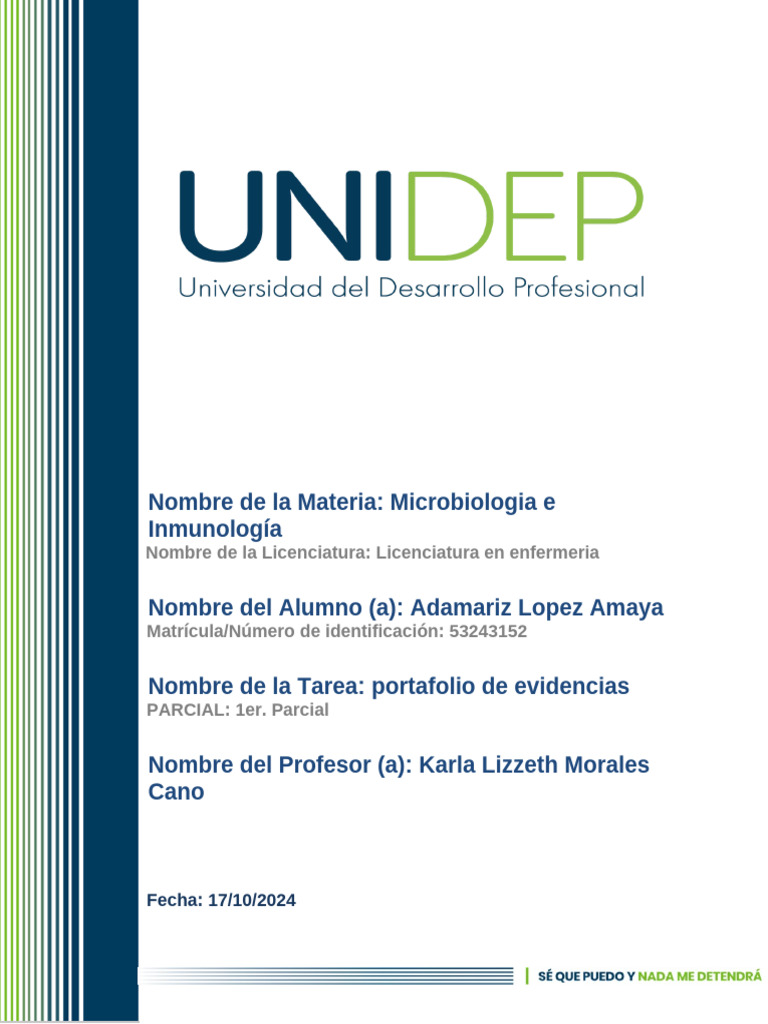 unidep | PDF
