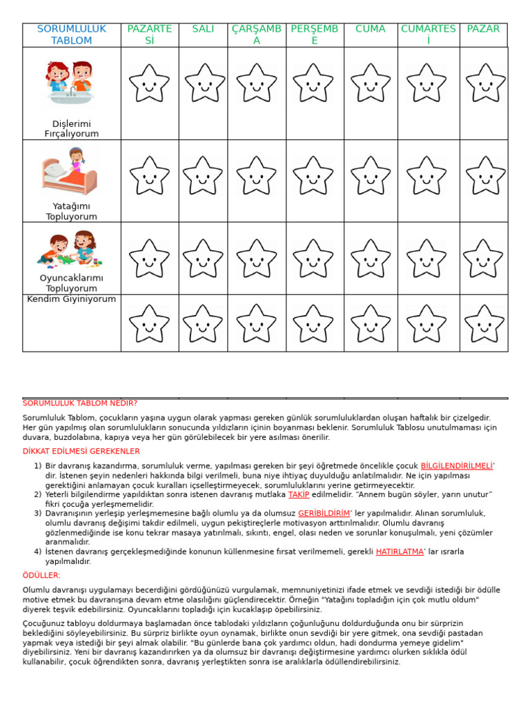 Sorumluluk Tablom | PDF
