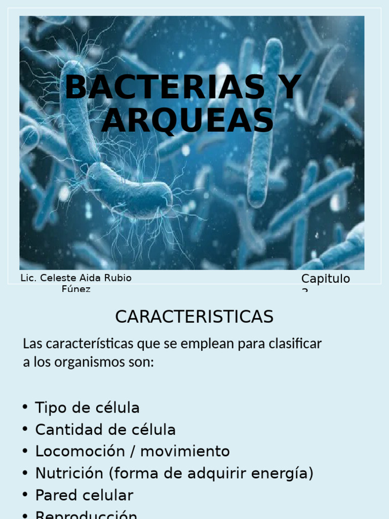 Bacterias y Arqueas | PDF | Las bacterias | Archaea