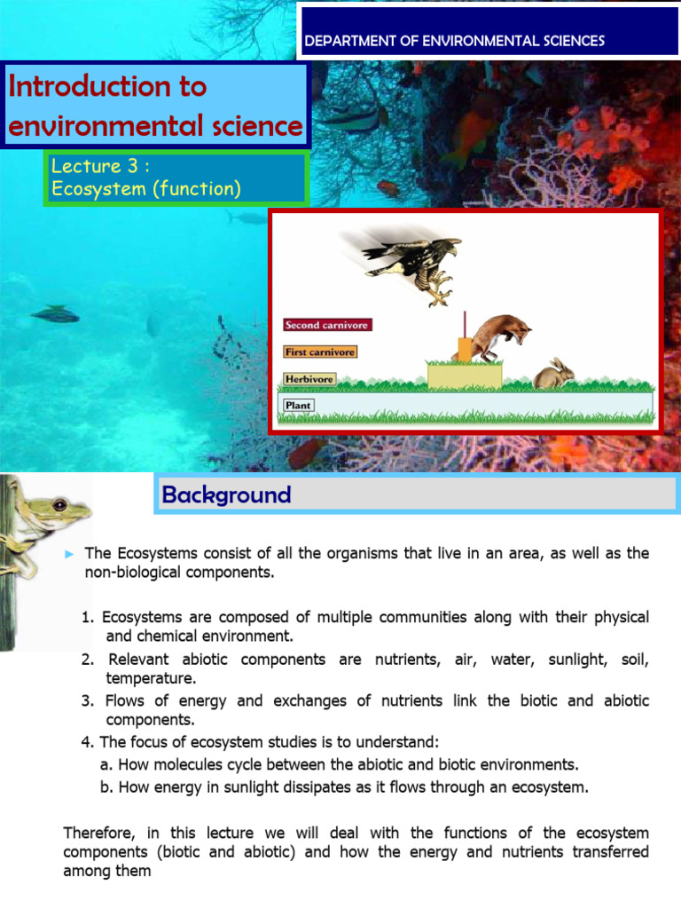 Ecosystem Functions and Energy Flow | PDF | Food Web | Ecosystem