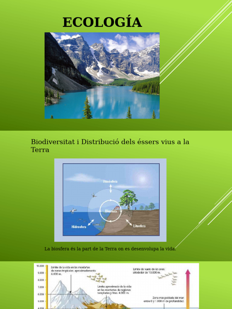 Presentació Tema Ecologia | PDF