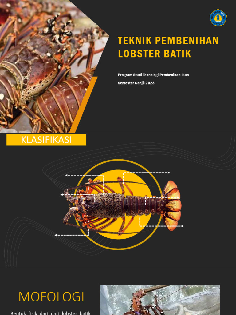 PPT LOBSTER rev | PDF