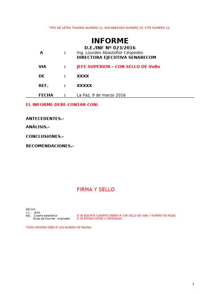 MODELO INFORME | PDF