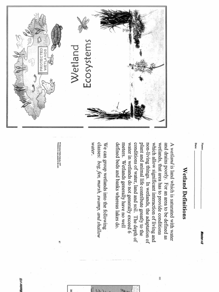 Science Duo-Tang Pages For Parent Pick-Up | PDF