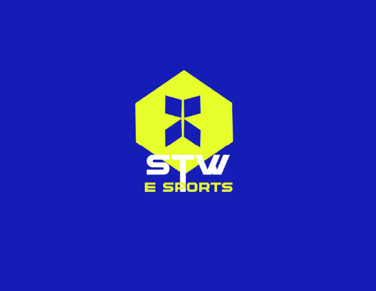STW Vibe | PDF