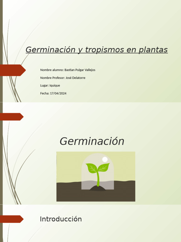 Tropismos en Plantas | PDF | Raíz | Ramas de la botánica