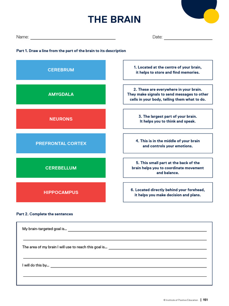 Understanding Brain Functions and Goals | PDF