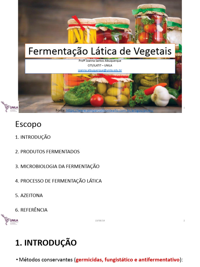 Fermentação Lática de Vegetais: Guia Completo | PDF | Conservas ...