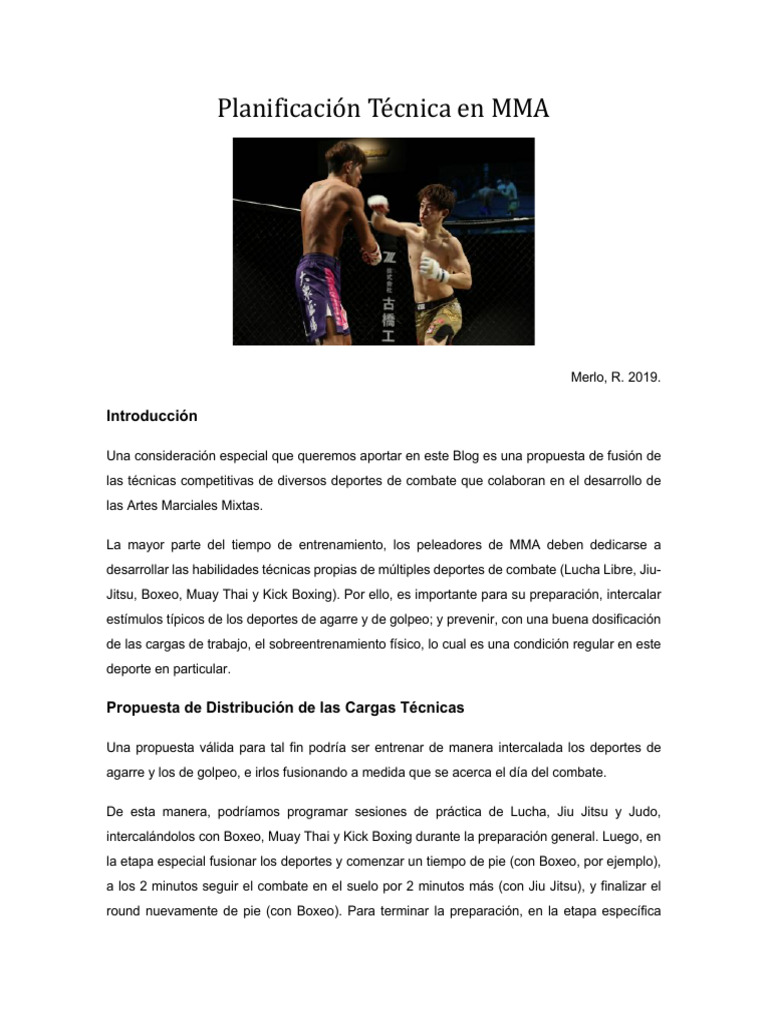 Planificación Técnica en MMA | PDF | Artes marciales mixtas | Muay thai