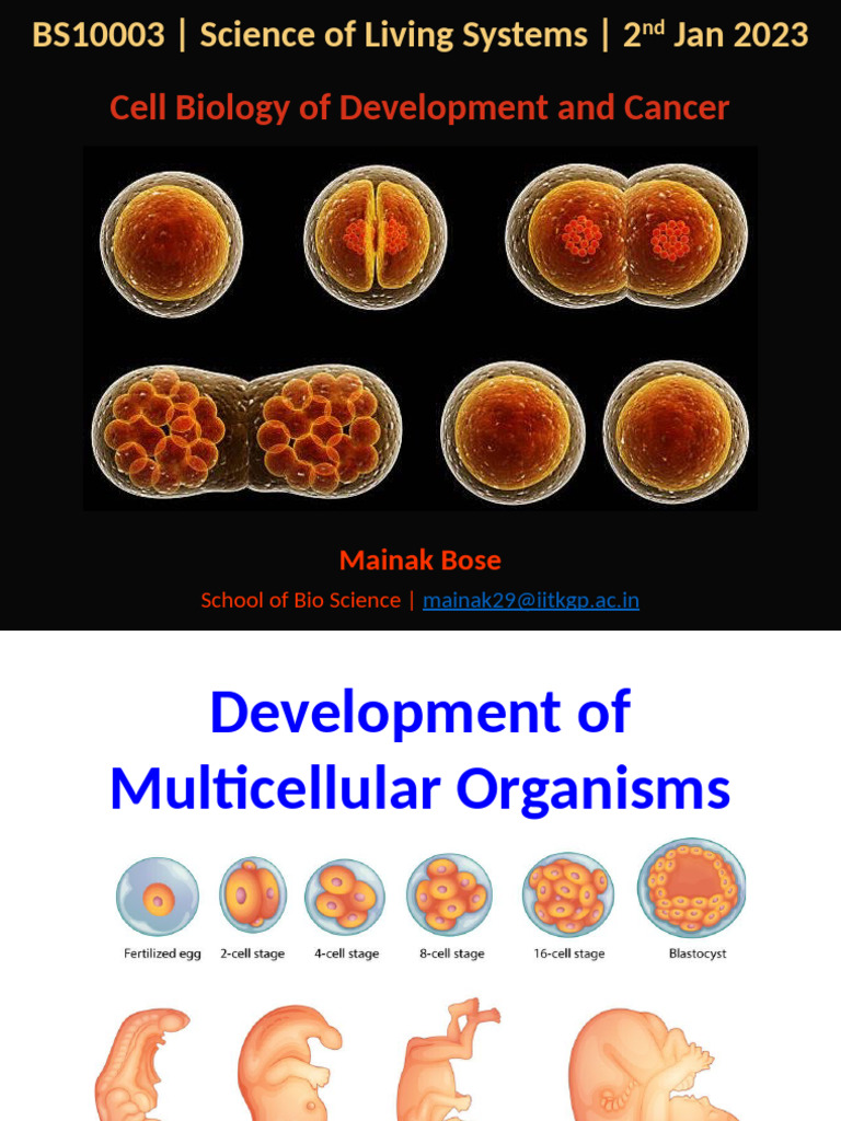 BS10003_Cell Biology and Cancer | PDF | Ploidy | Cell Cycle