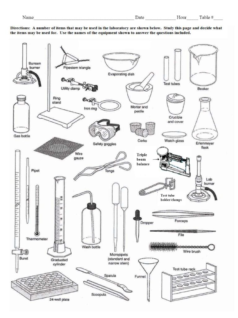 Lab Equipment Worksheet | PDF