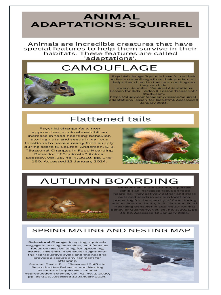 Animal Adaptations Science Infographic Colorful Photographs | PDF ...