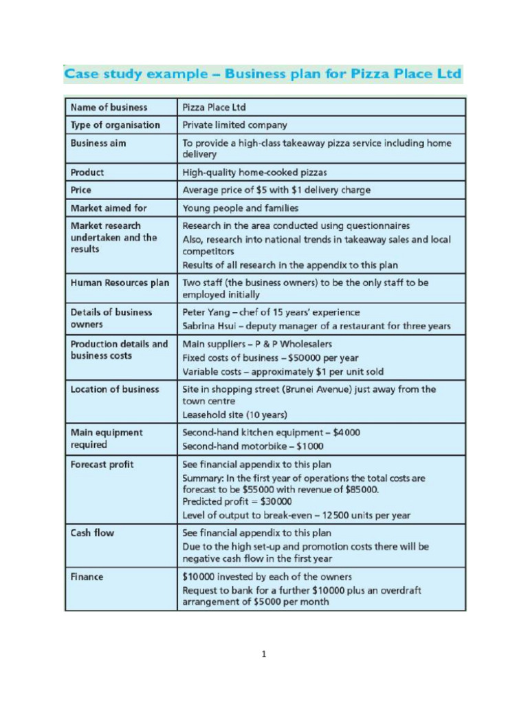Business Plan Case Study Overview | PDF | Finance & Money Management ...
