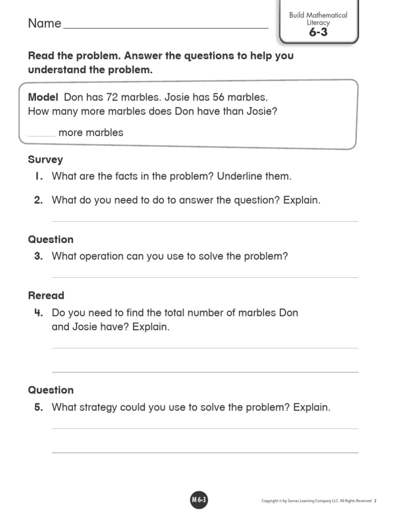 Build Mathematical Literacy | PDF