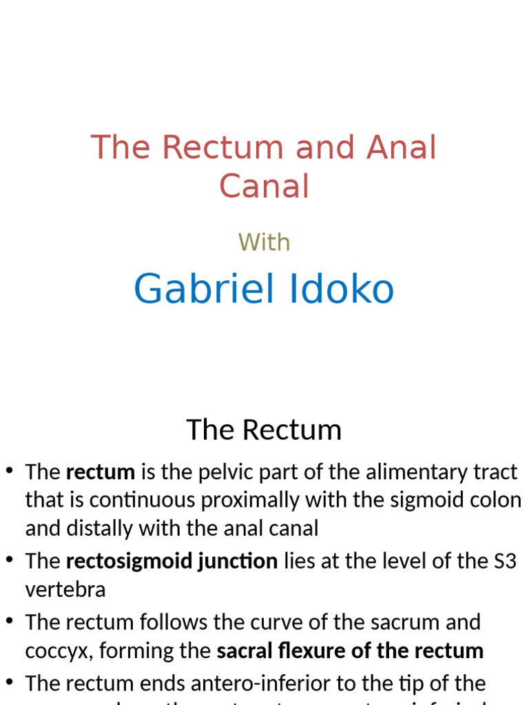 The Rectum and Anal Canal | PDF | Rectum | Human Anatomy