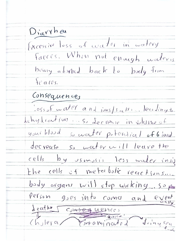 Marwan Ali 17 TH of October Classwork | PDF