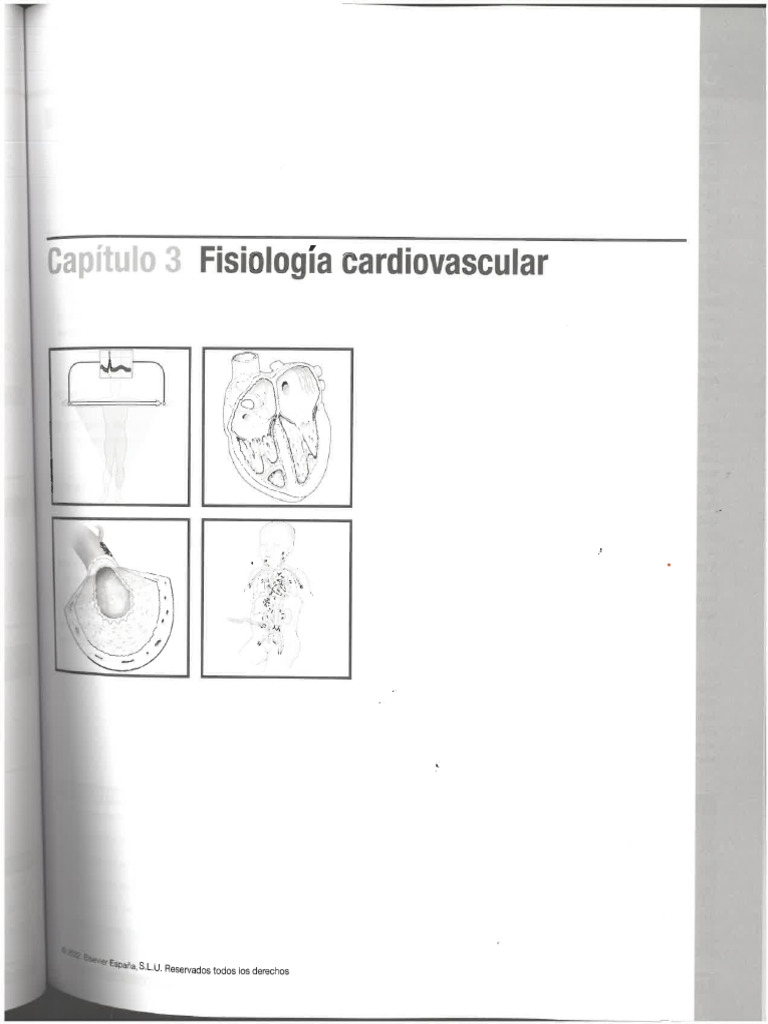 Cap 3 Netter | PDF