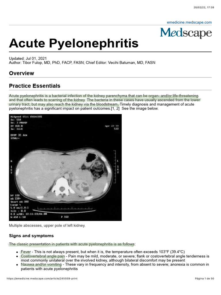 Acute Pyelonephritis | PDF | Urinary Tract Infection | Diseases And ...