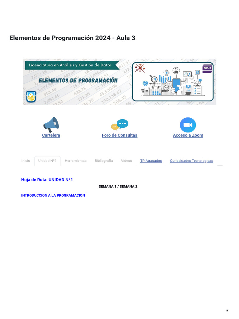 Tema - Unidad Nº1 - Elementos de Programación 2024 - Aula 3 | PDF | Programación de computadoras ...