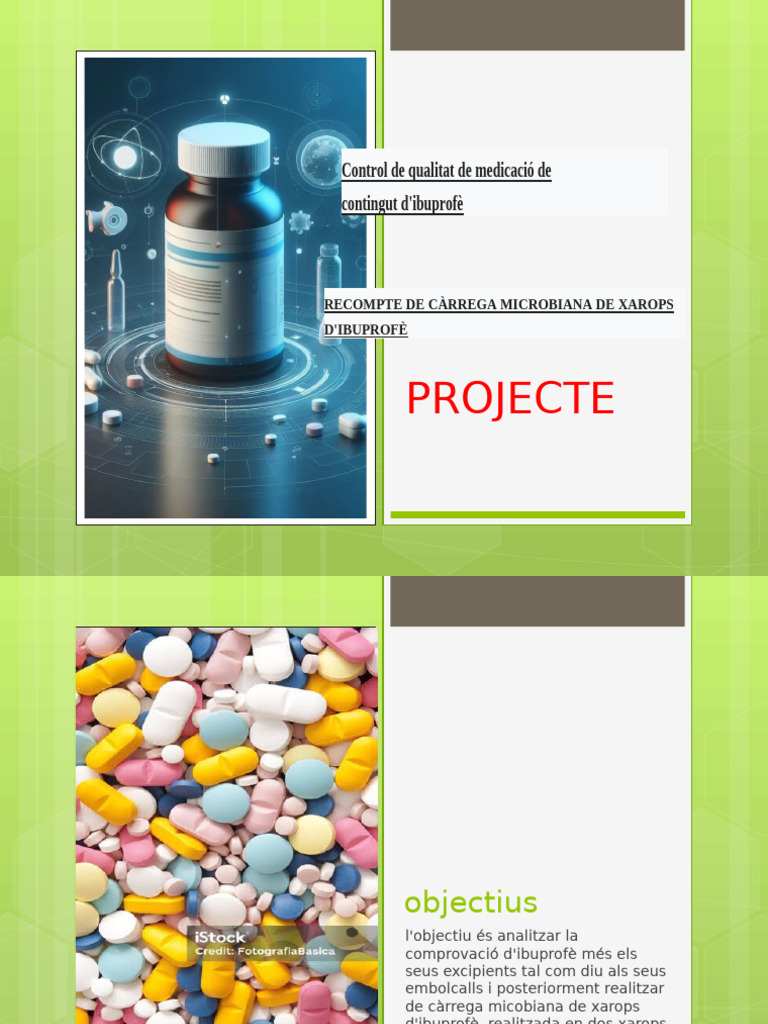 Presentación Proyecto | PDF