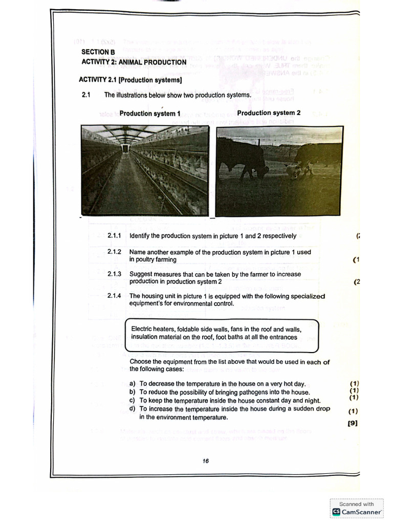 Animal Production | PDF