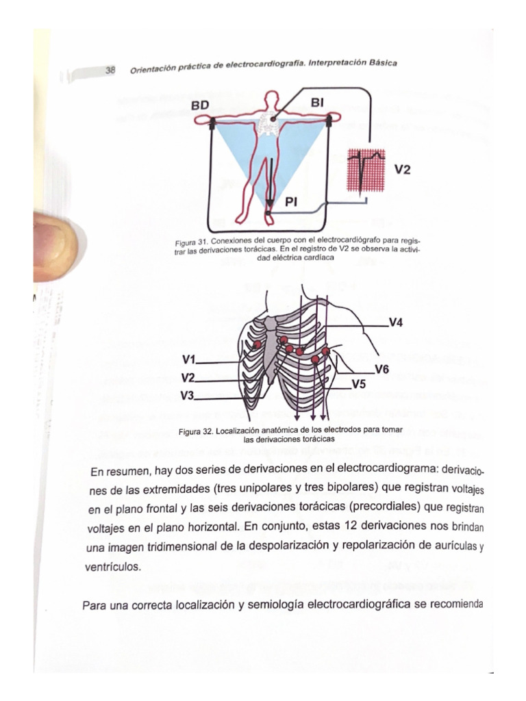 Electro DR Ariza 2 | PDF