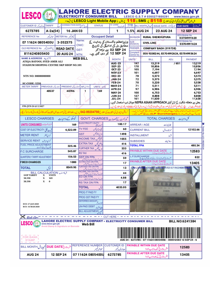 Shop Bill Summary for August 2024 | PDF