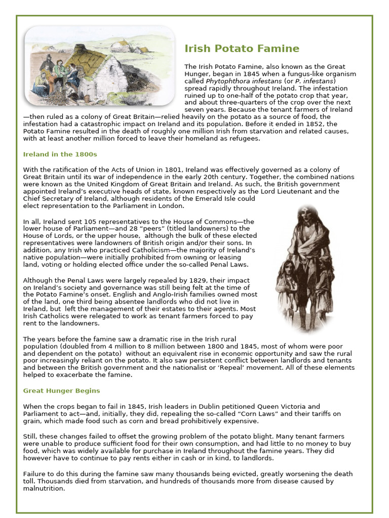 The Irish Famine Reading Comprehension Exercises - 110193 | PDF | Great ...